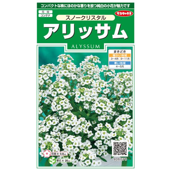 ●アリッサムの中では株も大きく花もやや大きめです。●多花性で純白の花が集まって株一面花で埋もれる草姿と、ほのかな香りが魅力です。●極端な暑さと寒さは苦手ですが、開花期間も長く、花壇の縁取りやコンテナ向きの品種です。