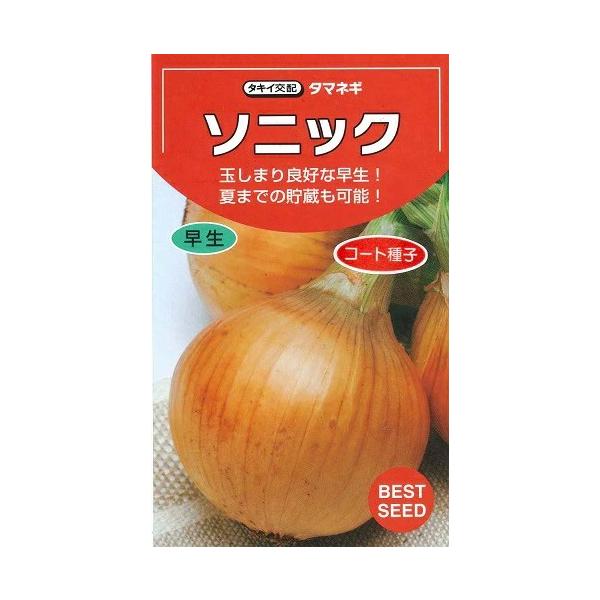 ●玉は甲高の大玉によくそろい、早どりができる早生種。●玉の色つやがよく、首部も細くてよくしまる。●1球平均320g。●耐寒性が高く、生育旺盛で作りやすい。●切り玉出荷が最適。●吊り玉にした場合でも8月末まで貯蔵が可能。