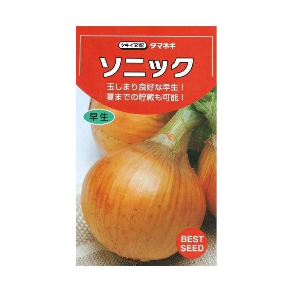 ●玉は甲高の大玉によくそろい、早どりができる早生種。●玉の色つやがよく、首部も細くてよくしまる。●1球平均320g。●耐寒性が高く、生育旺盛で作りやすい。●切り玉出荷が最適。●吊り玉にした場合でも8月末まで貯蔵が可能。