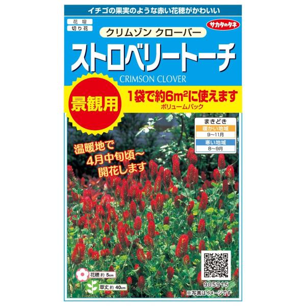 ●クローバーの仲間で耐寒性はとても強く、株張り約30cm、草丈約40cmになります。●八重桜が散り始めるころ、真っ赤なイチゴの果実に似た花穂を数多く枝先につけます。●かわいらしい切り花にもなります。＜タネまき準備＞●クローバーの仲間で耐寒性...