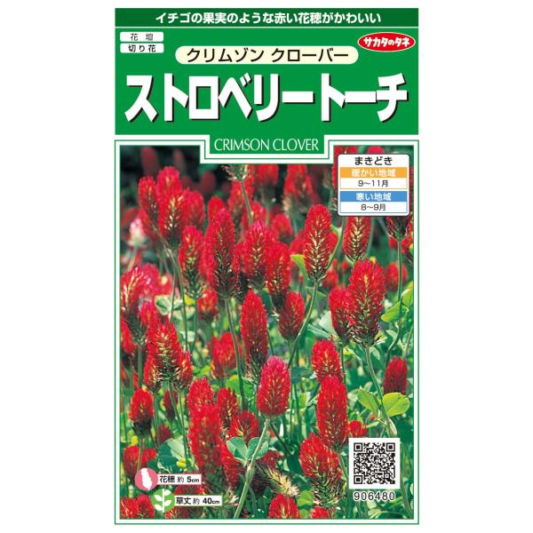 ●クローバーの仲間で耐寒性はとても強く、株張り約30cm、草丈約40cmになります。●八重桜が散り始めるころ、真っ赤なイチゴの果実に似た花穂を数多く枝先につけます。●かわいらしい切り花にもなります。＜タネまき＞●ススキの穂が出始めるころがタ...