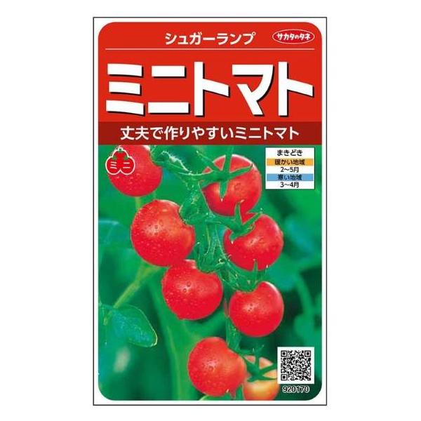 ●世界的に有名なミニトマトの代表格です。●直径3cm程度の甘い実が鈴なりにつきます。●プランターや大鉢でつくりやすい家庭菜園向きミニトマトです。＜タネまき＞●発芽適温（地温）を確保します。●ポットなどに2〜3粒を、深さ1cmにまき、土をかけ...