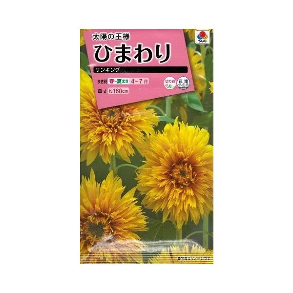 ●ボリューム感に富む八重の花が印象的。●高性で株はよくそろうのが特徴的です。●切り花向きで景観用としても使えます。