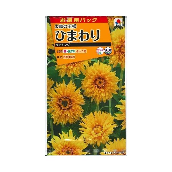 ●ボリューム感に富む八重の花が印象的。●高性で株はよく揃うのが特徴です。●切り花向きで景観用としても使えます。