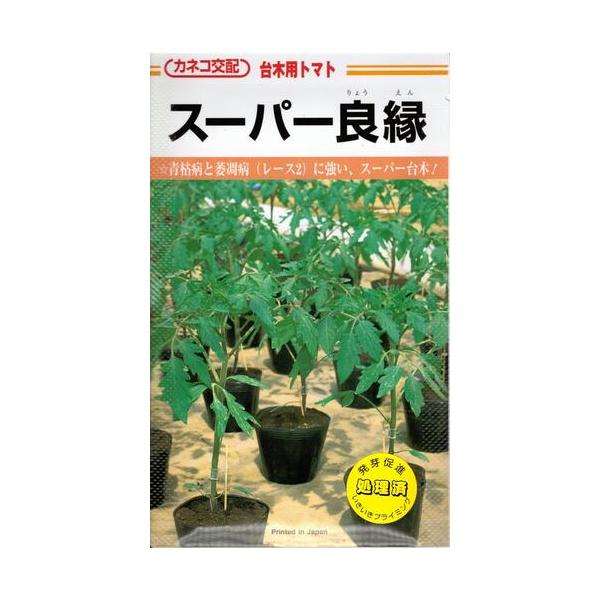 ●青枯病と萎凋病（レース2）に対して極めて強い耐病性を有します。●萎凋病（レース1）、半身萎凋病、根腐萎凋病（J3）、サツマイモネコブ線虫にも安定した耐病虫性を示します。●高温期の土壌病害回避に最適です。●やや強い草勢となりますので、中〜長...