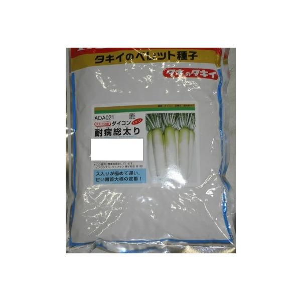 ●作りやすく、特にス入りが遅い。●尻の肉付きがよく、肌は白くてつやがあり、青首とのコントラストが美しく、肉質も上々！●秋の適期栽培では根長38cm、根径8cm程度になる。