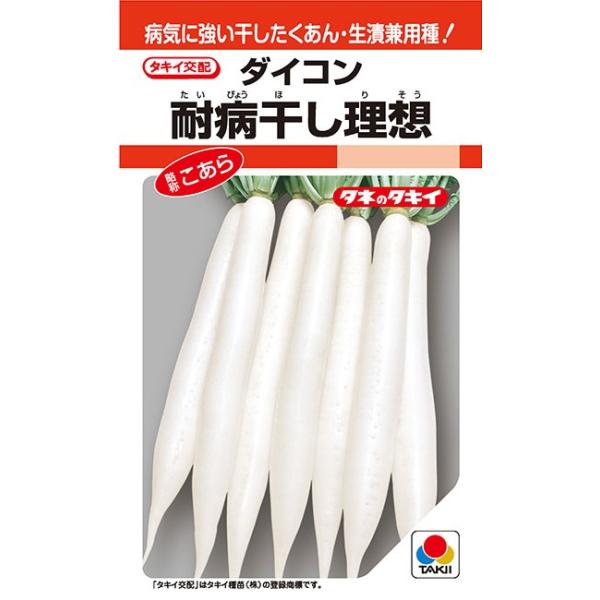 ●ウイルス病のほか、萎黄病にも強く作りやすい。●葉はやや立性でおとなしく密植栽培に向く。●早太り性で中間地の8月下旬まきでは播種後70日で根長45cm、根重1kg程度に太り、日をおけば根長50cm、根重1.5kg程度になる。●肌は白く肉質は...