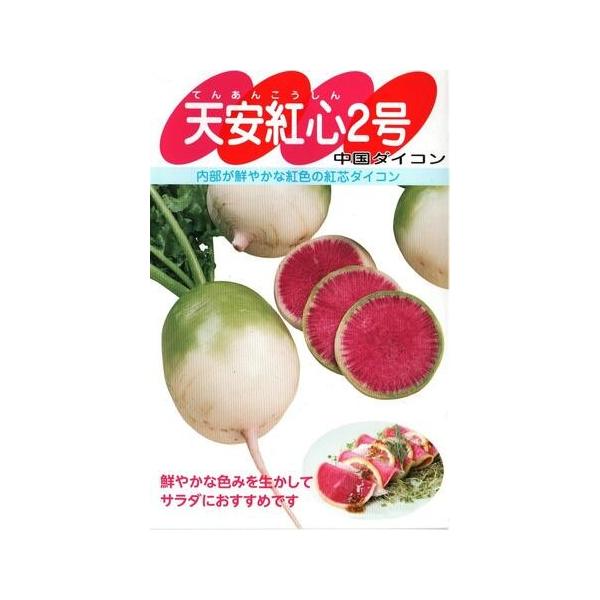 ●根の直径が7〜8cm、内部の肉色は鮮紅色で美しく、サラダ、浅漬け、おろしに適します。●鮮やかな紅色を生かした大根おろしやサラダだけでなく、一夜漬け、浅漬けにもぴったりです。●紅色の成分はポリフェノールの一種「アントシアン」で、抗酸化作用が...