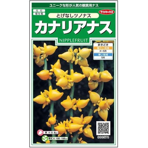 ●別名フォックスフェイス（キツネの顔）と呼ばれる観賞用ナス。●草丈100〜150cm。●株元から数本の枝が伸び、葉の付け根に黄色の実を付けます。●枝ごと観賞したり、実だけをとって飾ることもできます。＜タネまき＞●発芽適温は20〜25℃が必要...