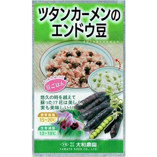 ●エジプト王家のツタンカーメンの墓の中から発見されたとされるつるありの赤花種。●美しい花の後に紫色の莢をつける。●莢は硬いが、未熟豆は実エンドウとして食べられる。●莢がふくらみ、中の実が太ったものを豆が緑色のうちに収獲する。●豆ご飯にして保...