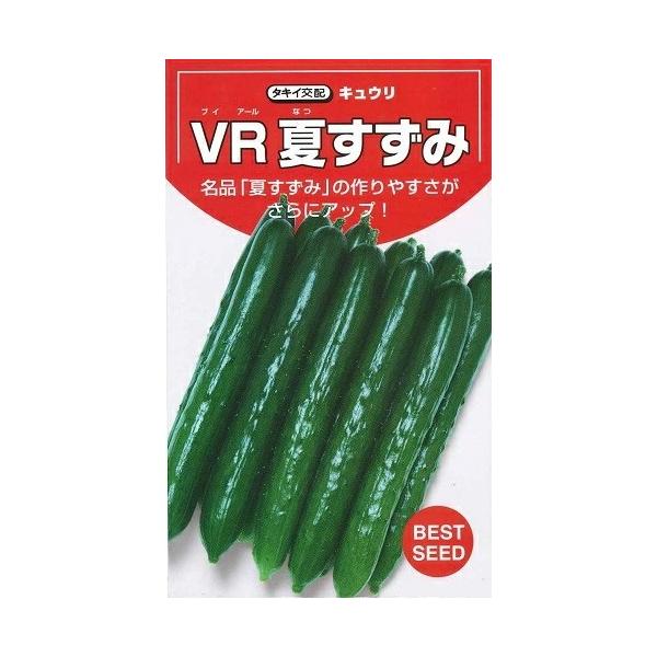 ●つるもちがよく、栽培後半まで秀品率が高い「夏すずみ」タイプ。●家庭菜園におすすめ。●べと病・うどんこ病に強く中程度のウイルス病（ZYMV）耐病性をもつ。●主枝の雌花率は4〜5月播種で50〜60％、側枝以降も60〜70％程度連続着花する。●...