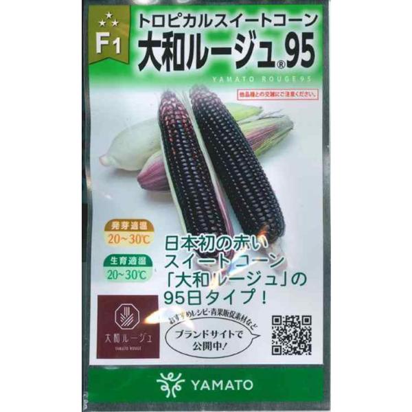 ●やや糯感がある食味の良い甘味種。●糖度は16度程度。●穂重は約270g、濃い赤紫色で穂先のしまりが良い。●登熟日数95日程度の晩生種。●草勢は強く、丈は3ｍを越えることがある。※稀に完熟しても赤く着色しない果実が出現する場合があります（遺...