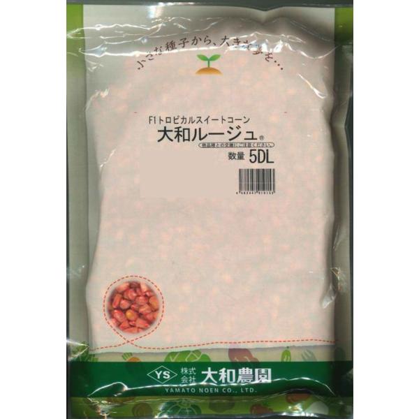 ●やや糯感がある食味の良い甘味種。●糖度は16度程度。●穂重は約270g、濃い赤紫色で穂先のしまりが良い。●登熟日数95日程度の晩生種。●草勢は強く、丈は3ｍを越えることがある。※稀に完熟しても赤く着色しない果実が出現する場合があります（遺...