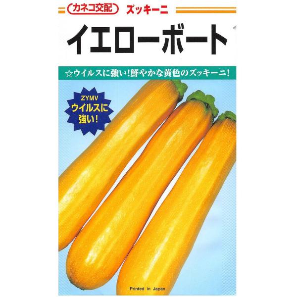 ●果実は黄色の円筒形、長さは15〜20cm位で収穫します。●蔓が伸びないため小面積で栽培ができ、家庭菜園にも適します。●生育初期より安定して雌花が咲き、初期から高い収量を上げられます。●ウイルス（ZYMV）に対して耐病性があるので大変作りや...