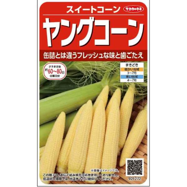 ●スイートコーンを未熟なうちに収穫したものがヤング（ベビー）コーンです。●炒め物やサラダ、天ぷらでフレッシュな甘さと歯ごたえを楽しみましょう。●包んでいる薄皮とヒゲもおいしく食べられます。＜タネまき＞●桜が満開のころを目安にします。●うね間...