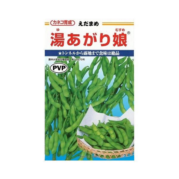 ●食味の良さに特に影響するショ糖含量の多い茶豆風味の良食味品種です。●毛茸は白く、ゆであがった莢・子実色は鮮やかな緑色で、市場性の高い品種です。●3粒莢率の高い多収品種です。●トンネルから露地まで幅広い作型に適する中早生品種です。●トンネル...