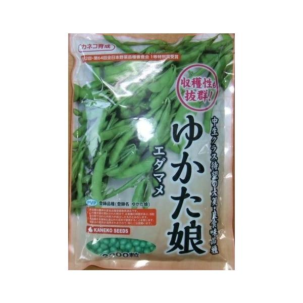 ●PVP農林水産省登録品種 登録名：ゆかた娘●露地作型に最適な中生品種です。●強い甘みと独特の香りを有し、食味に優れます。●倒伏に強く、着莢性に優れ、三粒莢率の高い多収品種です。●莢は白毛・大莢・濃緑色で市場性に優れます。●莢色の濃緑期間の...