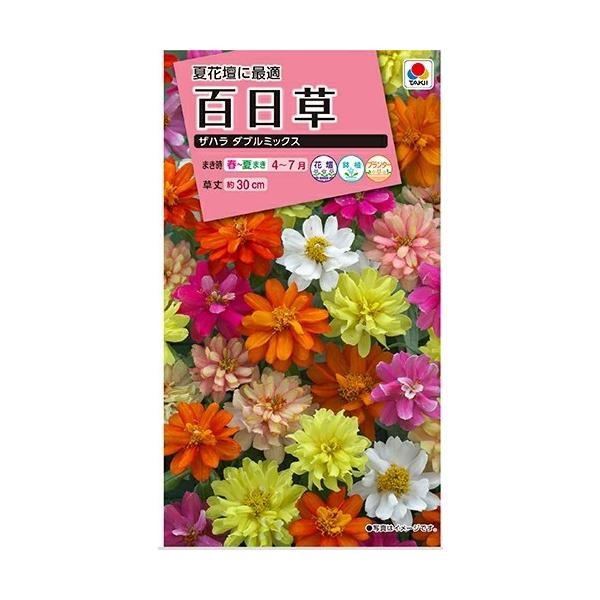 ●暑さや病気に強い品種です。●直射日光の下でも色あせしにくく、長期間楽しむことができます。●ファイア、イエローなどの5色の混合です。●温度等により、花色が安定しない場合があります。＜種まき＞●種は箱かポット、プラグ等にまきます。●ポットには...
