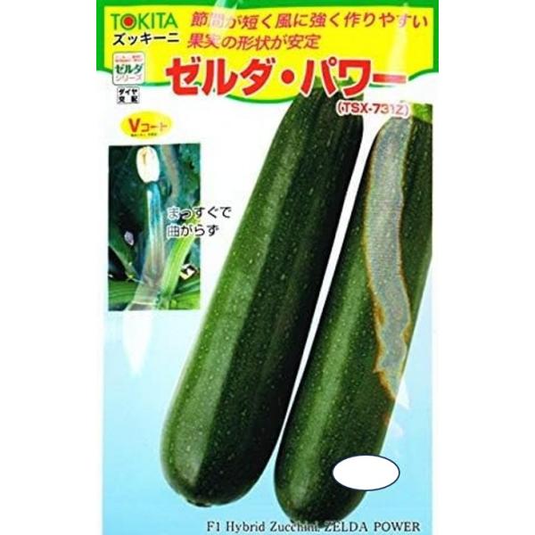 ●草勢が強く安定し、後半まで維持しやすい。●果実形状は筒状で曲がりが少なく、秀品率が高い。●節間が短く、倒れにくい。●立ち栽培でも初期は支柱不要。●葉柄が短くコンパクトな草姿。●CMV、WMV、ZYMVのモザイク病耐病性。●うどんこ病にも強い。
