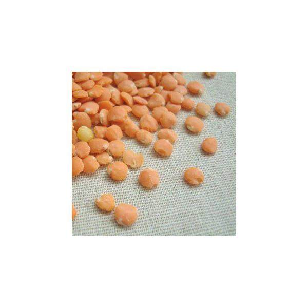 ●名称：レンズ豆●原産地名：アメリカ●賞味期限：残り10ヶ月以上●保存方法：直射日光、高温多湿を避けて保存して下さい。