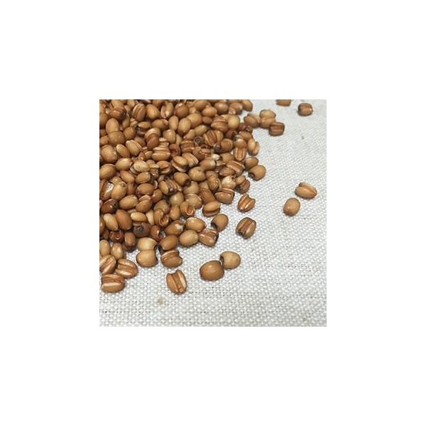 ●名称：玄粒はと麦●原産地名：島根県●産年：2024年●賞味期限：残り10ヶ月以上●保存方法：直射日光、高温多湿を避けて保存して下さい。