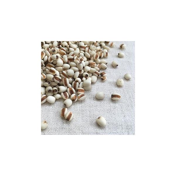 ●名称：はと麦●原産地名：島根県●産年：2024年●賞味期限：残り10ヶ月以上●保存方法：直射日光、高温多湿を避けて保存して下さい。