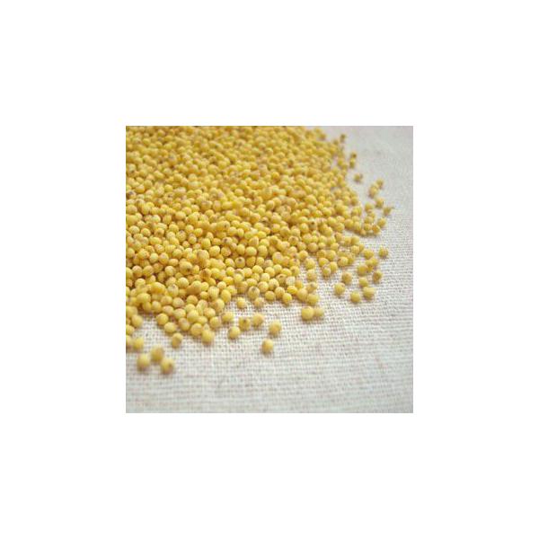 ●名称：きび●原産地名：岩手県●産年：2024年●賞味期限：残り10ヶ月以上●保存方法：直射日光、高温多湿を避けて保存して下さい。