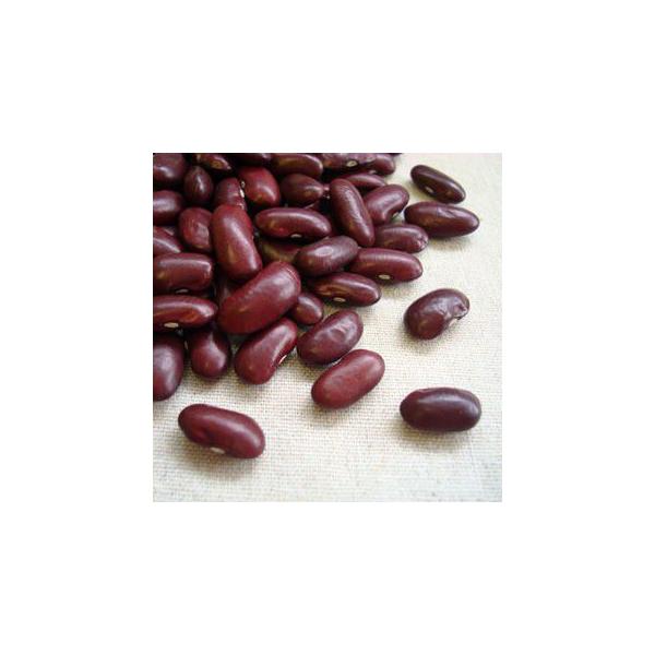 レッドキドニーはいんげん豆の一種で、金時豆を細長くしたような形をしています。金時豆よりも煮崩れしにくいので、豆の形を残したい料理に向いています。 キドニーは「腎臓」という意味で、豆の形が腎臓に似ていることから名付けられました。中南米やアメリ...