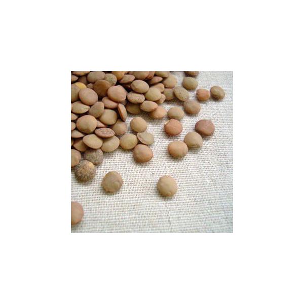 ●名称：レンズ豆●原産地名：アメリカ●賞味期限：残り10ヶ月以上●保存方法：直射日光、高温多湿を避けて保存して下さい。■産地での選別のみとなっております。異物が混入している場合もございますので、取り除いてからご使用ください。