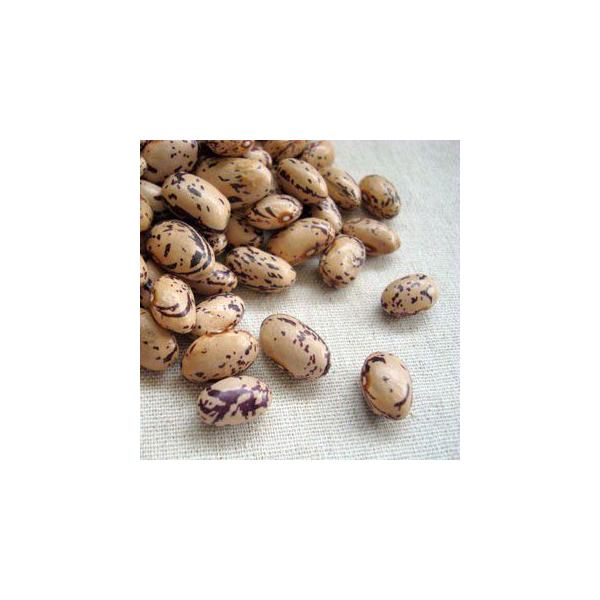 ●名称：いんげん豆●原産地名：北海道●産年：2025年●賞味期限：2027年11月●保存方法：直射日光、高温多湿を避けて保存して下さい。