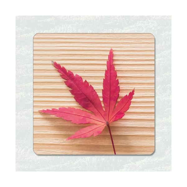 日本の四季シリーズ「秋」酒の席に静かに映える、日本らしい一枚です。海外の方へのギフトや、和の空間にもよく馴染みます。＜ラバー コースター＞は、日常使いを想定して設計された吸水性のあるコースターです。水洗いが可能で、結露や飲みこぼしによる汚れ...