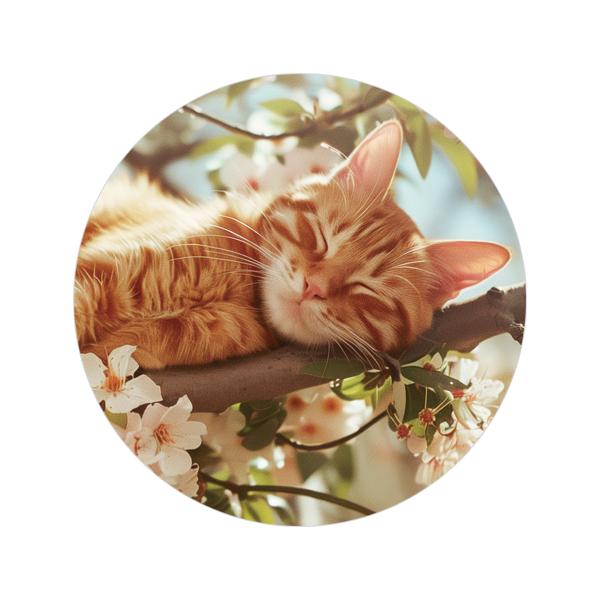 満開の桜の木でうたた寝する猫　かわいいですね！猫好きの方へのプレゼントや、ご自分用にも！＜ラバー コースター＞は、日常使いを想定して設計された吸水性のあるコースターです。水洗いが可能で、結露や飲みこぼしによる汚れも洗剤を使って簡単に落とせま...