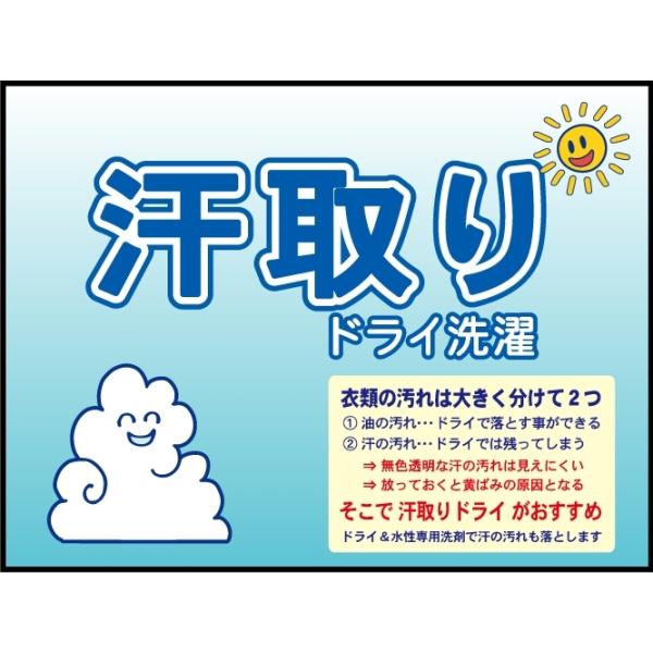 クリーニングパックをご購入の方で追加でのクリーニングを依頼される場合の1着分の汗取りWウォッシュ追加オプションです。