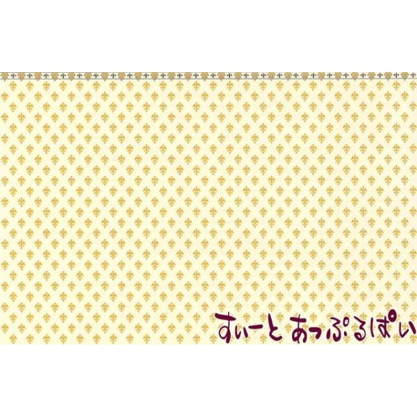 1/24サイズのドールハウス用壁紙です！ハーフインチサイズでドールハウスを製作されている方は、必見です！柄も沢山ありますよ！サイズ：１４ｘ２１．６ｃｍ。メーカー：ブロドナックス（アメリカ）。※壁紙と厚さ３cmまでの商品だけでしたら、クリック...