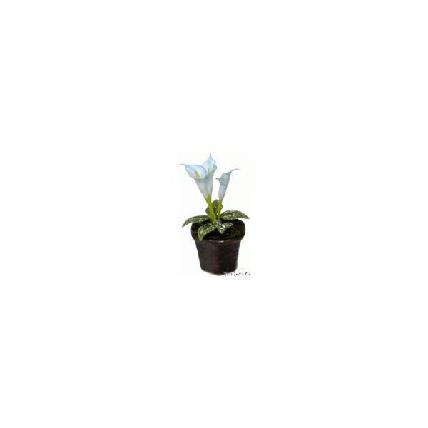 ちょっと青みがかかった、涼やかな印象のカラーの鉢植えです！ぜひあなたのドールハウスに！高さ約36ミリ。※実物はブルーがもっと濃いです。