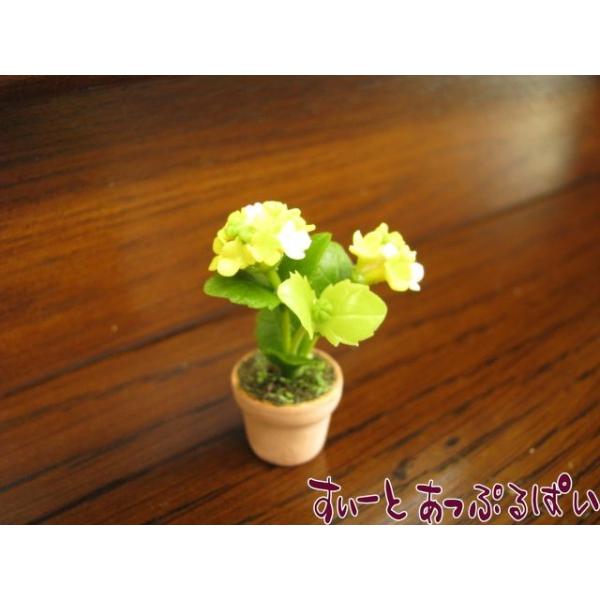 アジサイの鉢植えです！！若い時は、アジサイの良さが良くわからなかったのですが、最近は、アジサイって、なんて素敵な花だろう、とつくづく思います。春には、薔薇をはじめ沢山の花が咲きますが、6月になると急に全部終わってしまいます。しかしアジサイが...