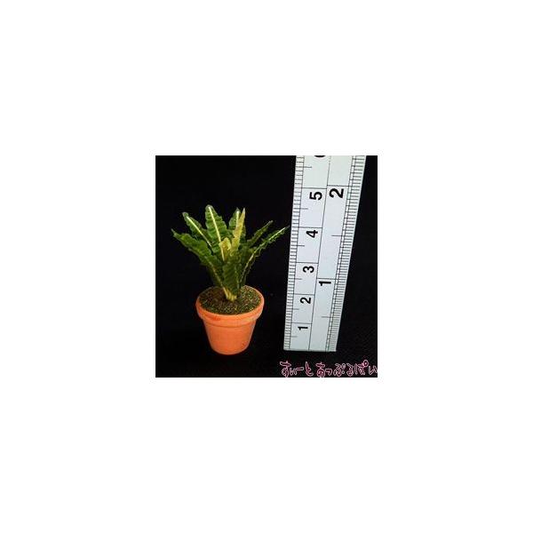 観葉植物の鉢植えのミニチュアです。お庭に置いても、お部屋に置いても、いいですね！お部屋に置くなら、鉢を白く塗ったり、バスケットに入れたりすると良いかも知れませんね！高さ約45〜50ミリ。※手作りのため、高さや葉の位置、色合いなど、個体や製造...