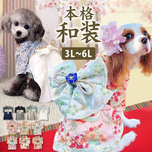 本格和装がSNSや年賀状にもぴったり！細部にまでこだわった格調高い着物で注目の的♪お正月や初詣、年賀状撮影、記念日のお祝いにもぴったりです！【カラー】ブルー、スカーレット、クリーム、サクラボタン、チャームピンク、ダマスク柄ピンク、アイボリー...