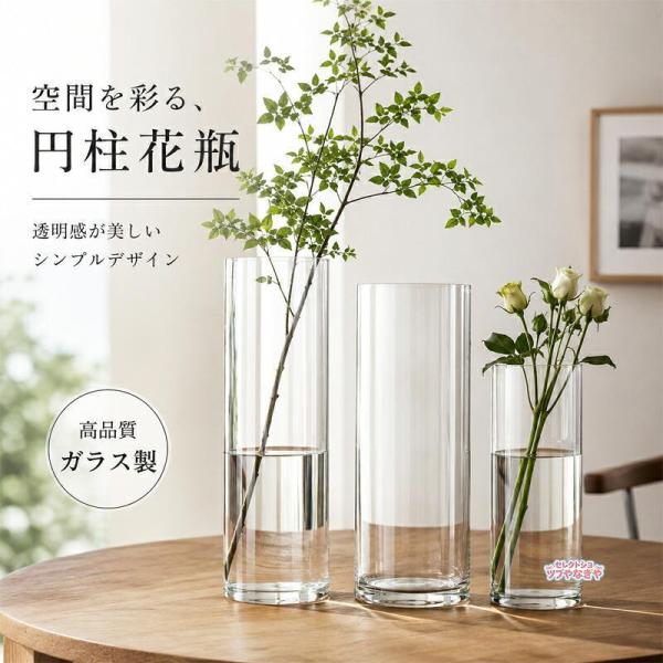 サイズ 10×20cm 10×25cm 10×30cm 12×30cm サイズについての説明 サイズ：10×20cm 10×25cm 10×30cm 12×30cmサイズ計測には誤差が生じます。 素材 ガラス 色 クリア 備考 サイズ詳細等...