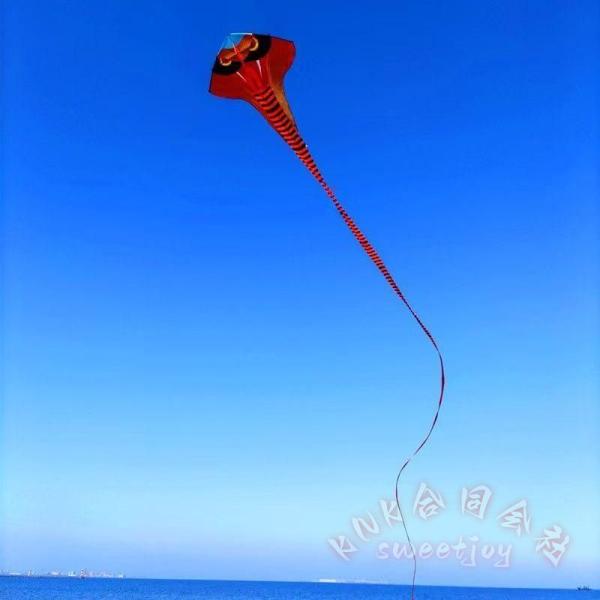 【特徴】大空を自由自在に飛び回るカイト！骨がないタイプで折れる心配なし、折りたたみで持ち運び楽々?可愛いカラフルのデザインで子供のプレゼントとして適！■セット内容:本体シート、横棒、タコ糸■製品サイズ:(約)W1900mm×H1120mm、...