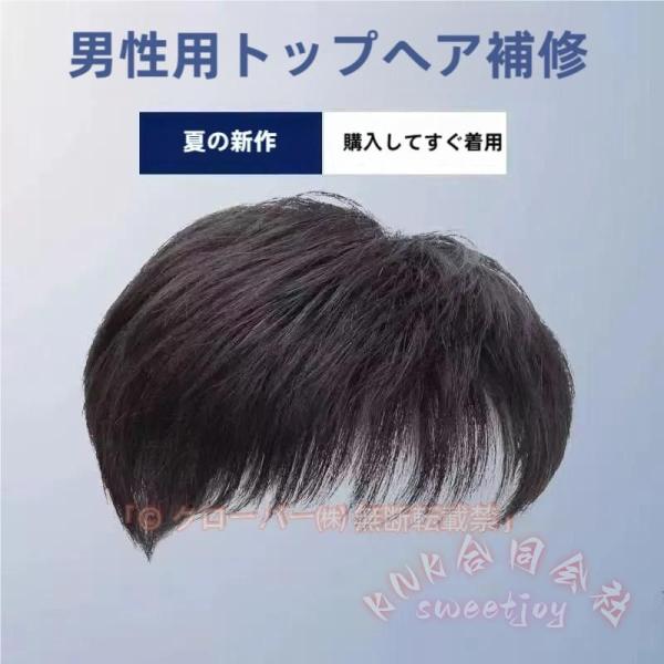 ウィッグ 男性用 かつら 人毛ウィッグ 中年 自然黒 ブラック 日常用 かつら 人毛かつら メンズヘア ショート お父さん プレゼント素材：人毛カラー：自然黒イナ【注意事項】※寸法は手測りなので若干誤差がございますが、ご了承くださいませ。※...