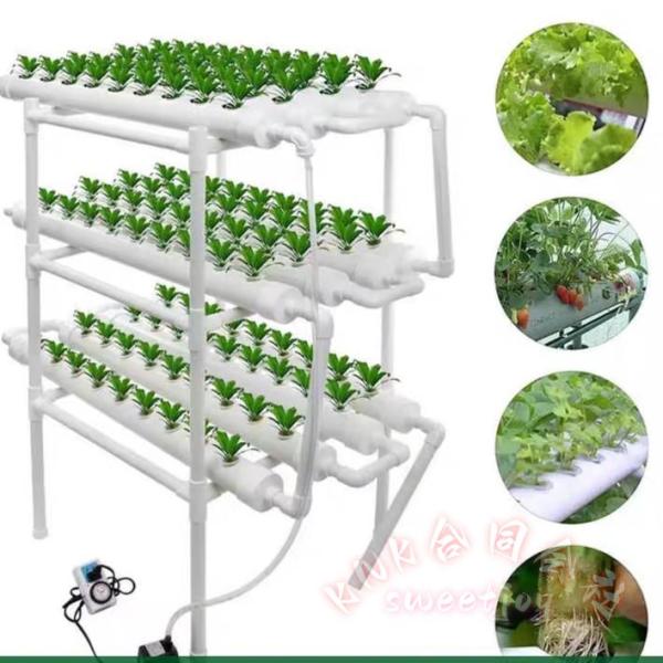 材質：この製品は、食品グレードのPVCパイプで作られています。壁の厚さ：2.0 mm、変形しにくく、耐腐食性、耐久性があり、美しいパイプの直径：63 mm、根が成長するのに十分なスペースを提供できます。ご注文が確認された後、自動循環システム...