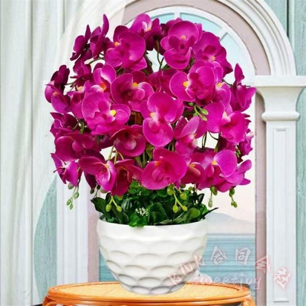 サイズ：約20*20*50cm