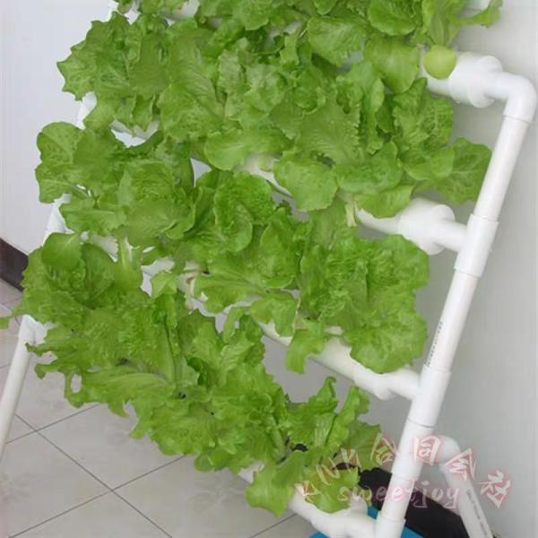 材質：この製品は、食品グレードのPVCパイプで作られています。壁の厚さ：2.0 mm、変形しにくく、耐腐食性、耐久性があり、美しいパイプの直径：63 mm、根が成長するのに十分なスペースを提供できます。注：水槽はありません. 水槽はご自身で...