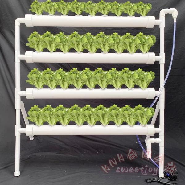 水耕栽培キット すいこう栽培キット いちご 野菜 栽培キット 室内 家庭菜園 水耕栽培セット プランター36穴 (36 穴)