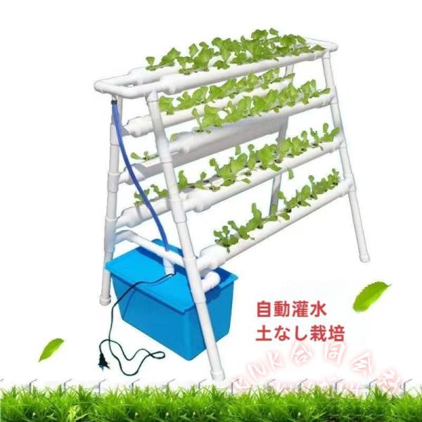 水耕栽培キット すいこう栽培キット いちご 野菜 栽培キット 室内 家庭菜園 水耕栽培セット プランター72穴 (72 穴)