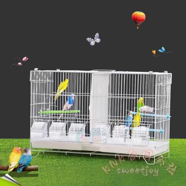 ◆中心に仕切りが付いているのでお部屋を分けて飼育できる鳥かご仕切りを外して使用することもできるので、広々と使用することもできます。底は引き出し式トレーで簡単にお掃除ができます。◆餌入れや稼働式の止まり木もあり、鳥たちが快適に過ごせる工夫がい...