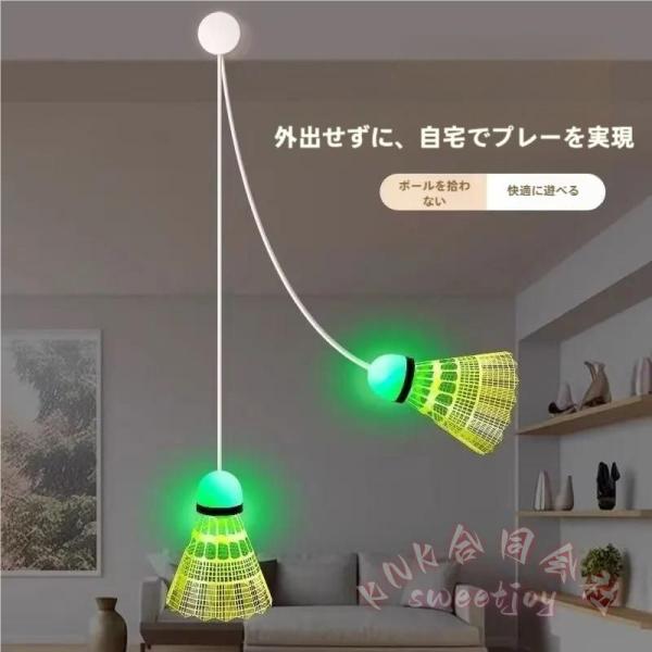 セット内容：3個ボール、ラケット2本、ストレッチロープ40本、バランスライン3本、粘着フック3個