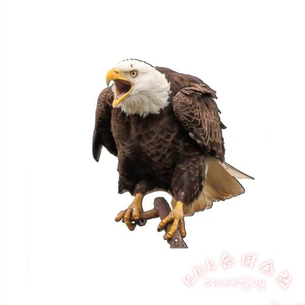 光の反射にて鳥よけ鳩などの害鳥が強光が怖がる特徴を利用し、本製品は各角度で太陽光による反射、鳩などの害鳥を近寄らせません。同時に両面二色の設計で特定的な色が怖がる鳥をより付けません。模様にて鳥よけ鳩などの鳥たちが天敵のフクロウを怖がる特徴に...