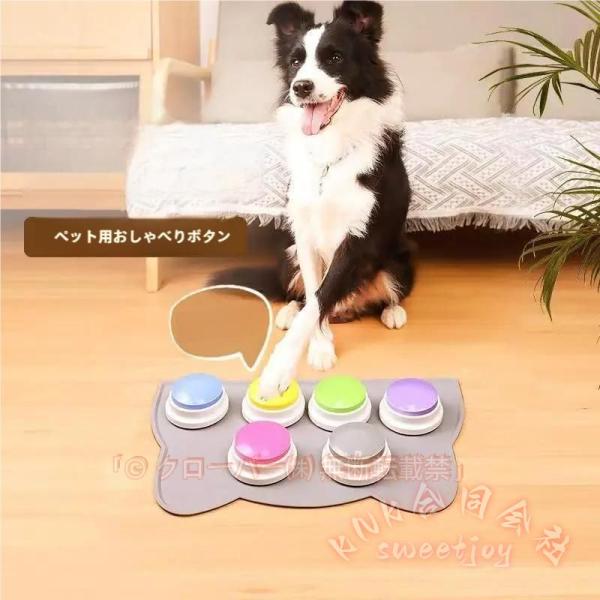 直径8.8cm×高さ4.2cm